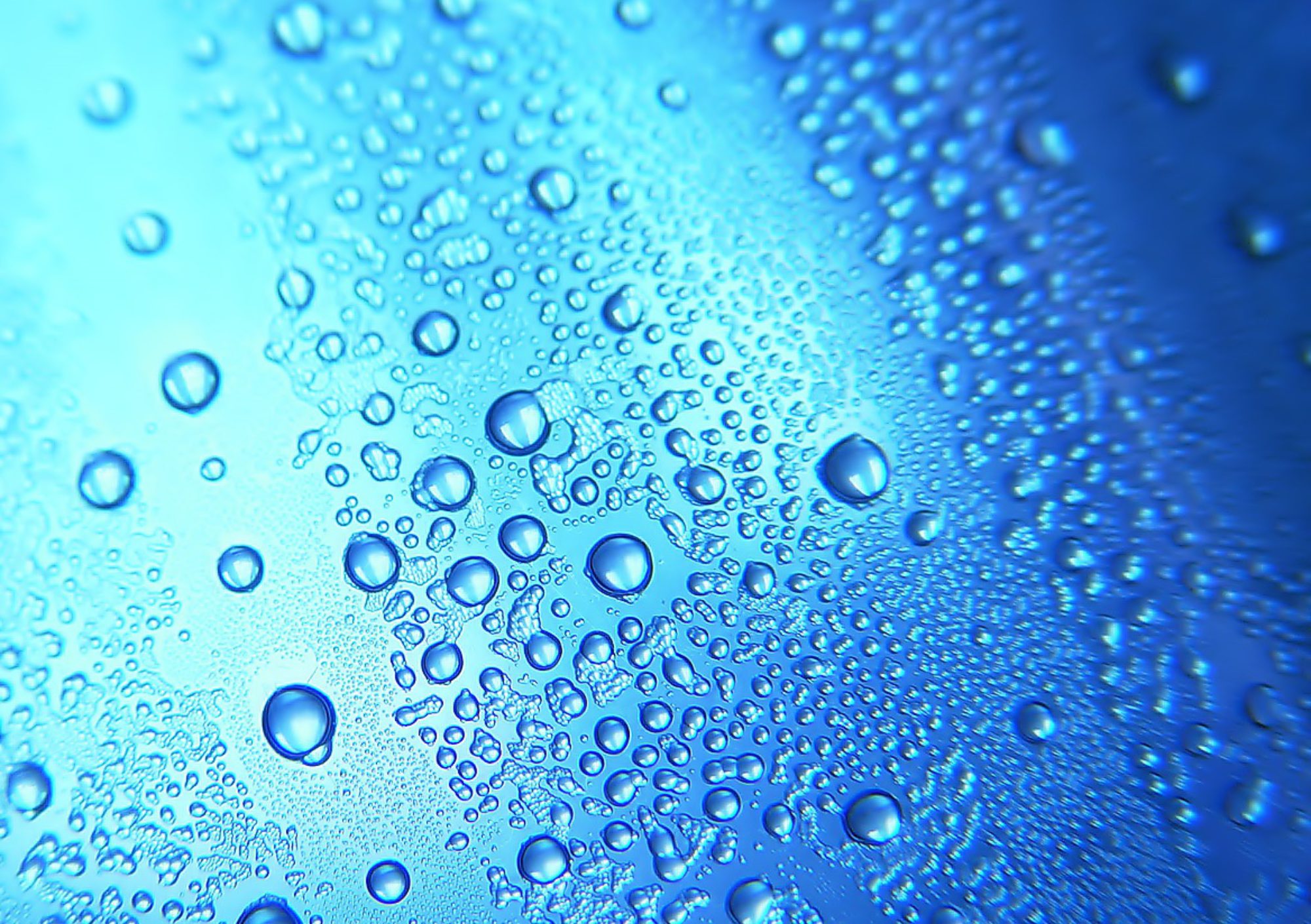 PURE WATER | Nelson WINDOW CLEANING SPECIALISTS